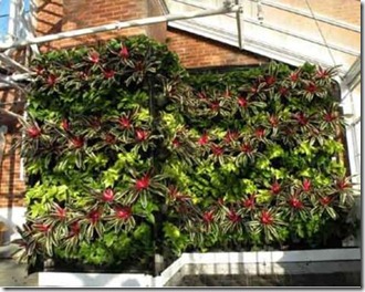 MOKOE : Home design tips and top buys: Make your own Green Wall